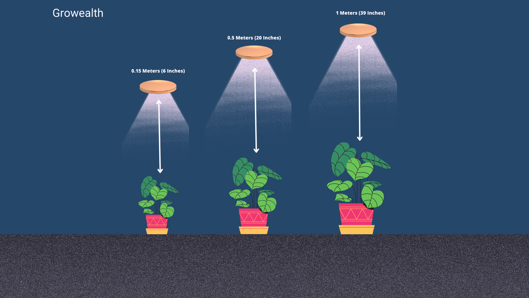 Grow Light Distance Chart Guide | Growealth