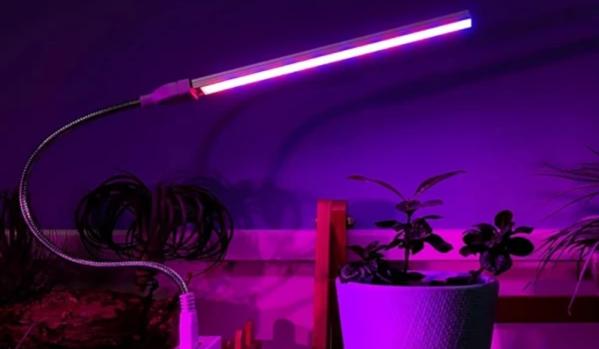 Grow light strip for indoor plants: a good support – Growealth